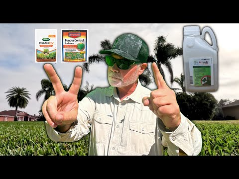St Augustine and Zoysia :: Store Bought Disease Control - Detailed How, What, Why, SPREADER Settings