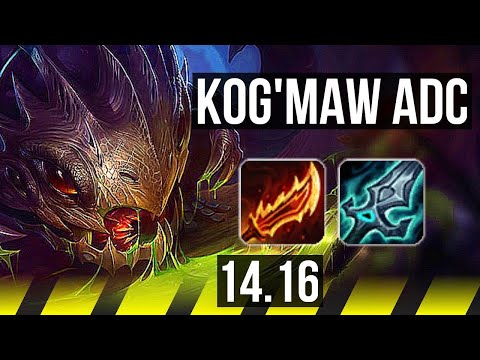KOG'MAW & Pyke vs CAITLYN & Janna (ADC) | 8/1/8, Dominating | NA Master | 14.16