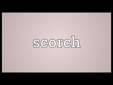 Scorch Meaning