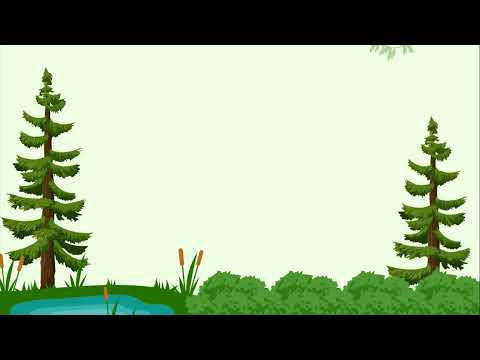 FIR | Dictionary| Thesaurus| Vocabulary| Synonyms|Word| Meaning| English| Language|