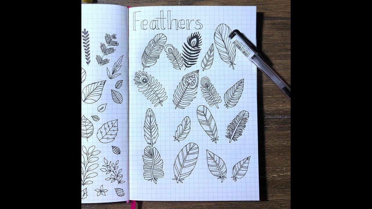 feathers | kcdoodleart