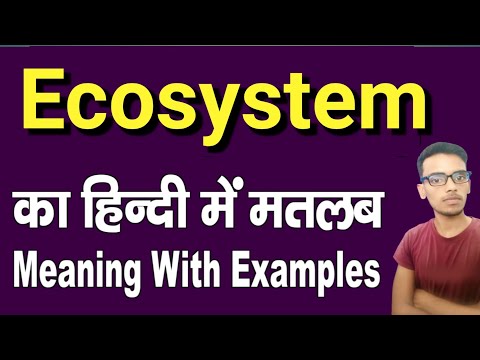Ecosystem meaning in hindi | Ecosystem ka matlab kya hota hai | daily use english words | words