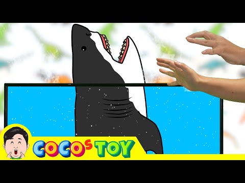 Raising Great white sharks at home|great white shark song, whales & sharks cartoon|CoCosToy