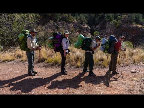 Coconino National Forest: An Arizona Gem