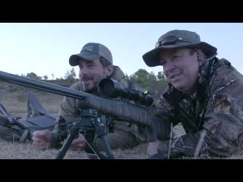 HUNT IN SPAIN. ROE DEER, RED DEER, FALLOW DEER, IBERIAN MOUFLON & GREDOS IBEX.