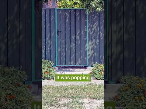 Metal Privacy Fences