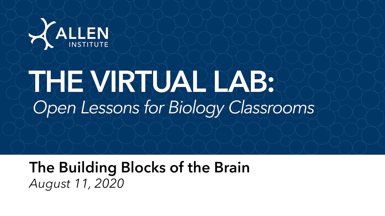 The Virtual Science Lab | The Building Blocks of the Brain