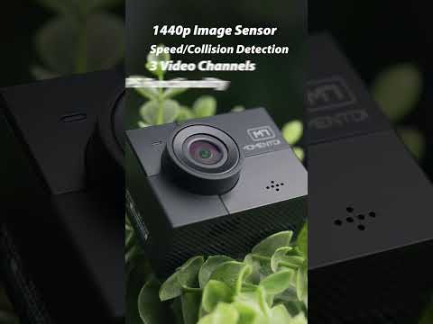 Momento M7 Overview