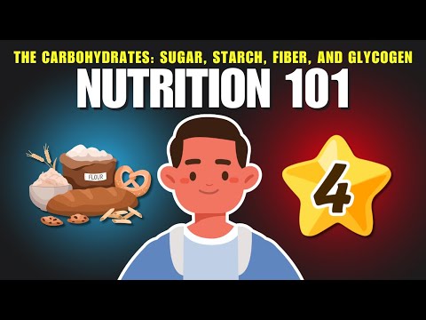 The Carbohydrates — Sugar, Starch, Glycogen, and Fiber