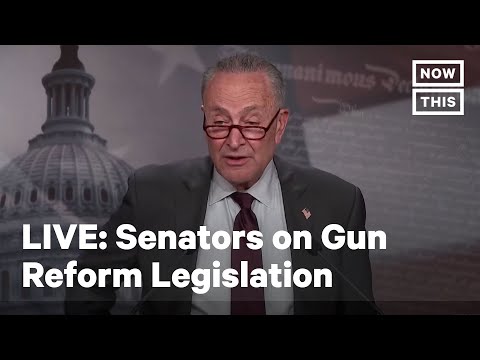 Senate Majority Leader Chuck Schumer Holds a Press Conference | LIVE