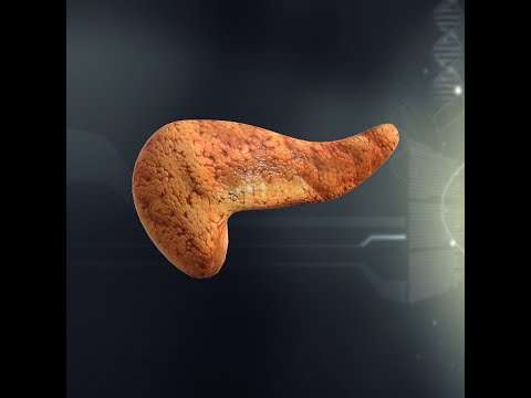 Signs of Poorly Functioning Pancreas #shorts