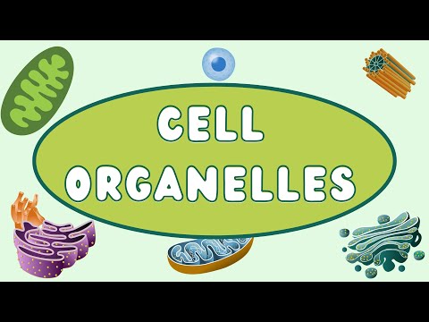 Cell Organelles Video Lecture - Science Class 9