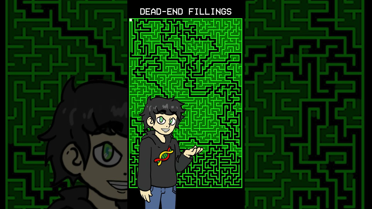 I Coded Maze Solving Algorithms