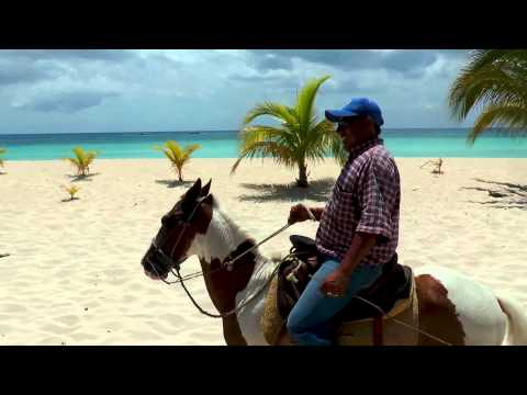 Mr Sancho's Horseback riding tour.