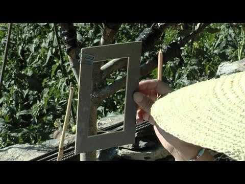 How To Access A Viewfinder