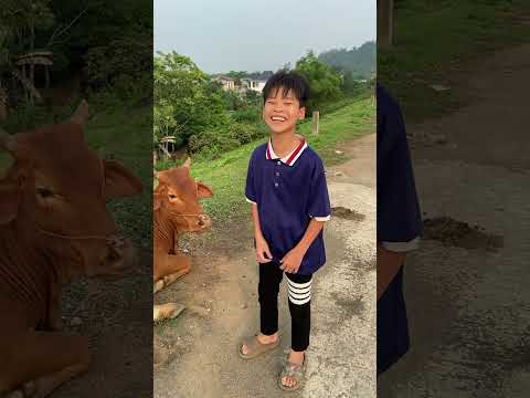 Trời nắng chang chang 😂 #trending