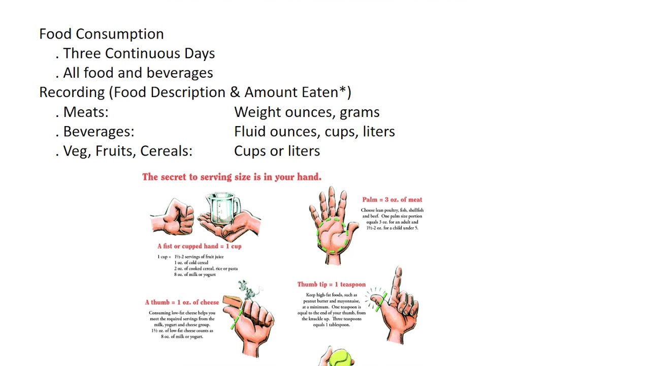 3 Day Diet Analysis Data