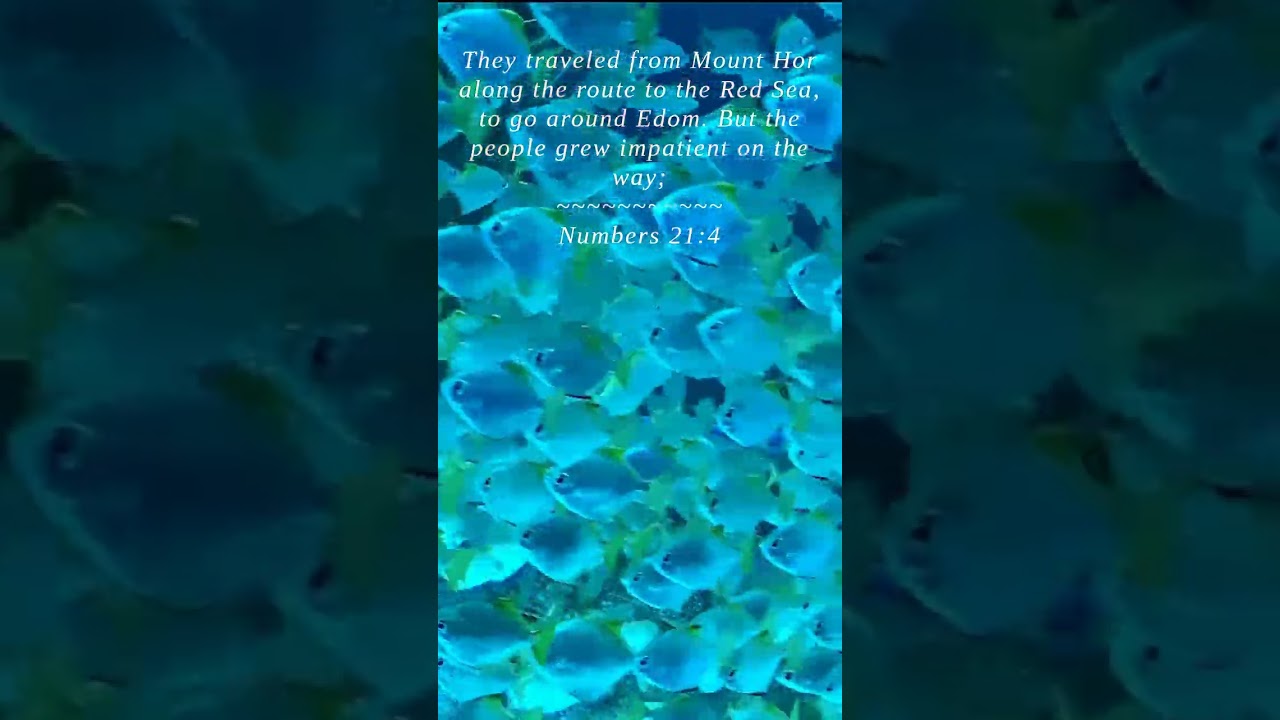 Bible | Numbers 21:4 | They traveled from Mount Hor a...