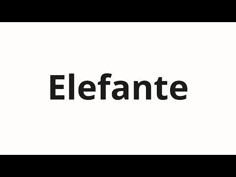 How to pronounce Elefante