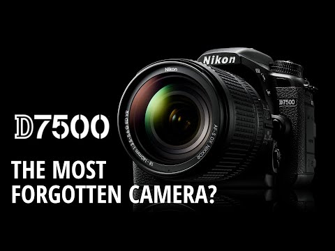 Nikon D7500: Very good image quality (1581)