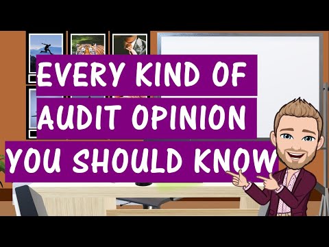 4 TYPES OF AUDIT OPINION (REPORT) - AUDITING THEORY