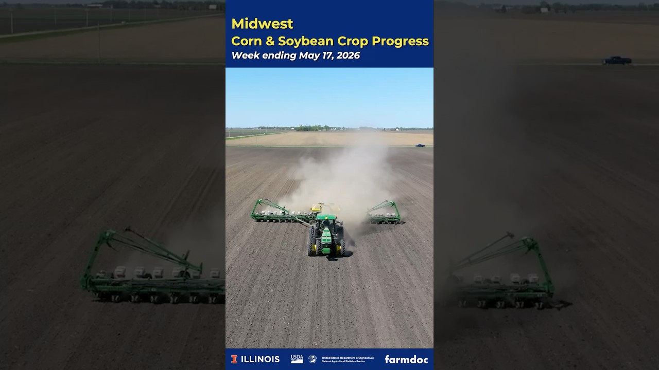 USDA Crop Report: Who’s Leading the Midwest in Corn Planting? | May 17, 2026