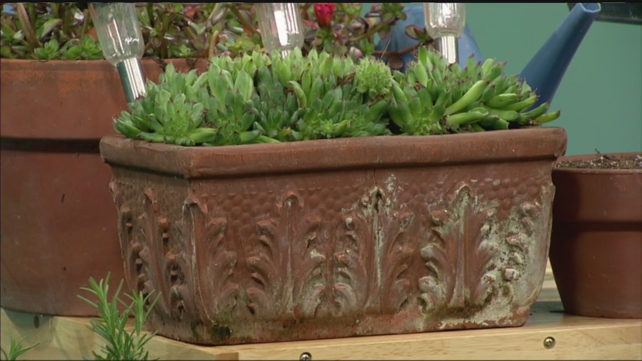 DIY window box planters