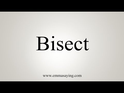 How To Say Bisect