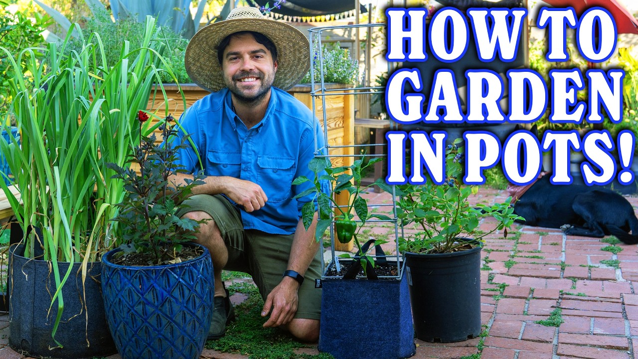 Container Gardening 101: From Pot To Plant