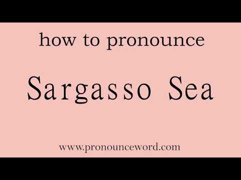 Sargasso Sea. How to pronounce Sargasso Sea in english (correct!). Start with S. Learn from me.
