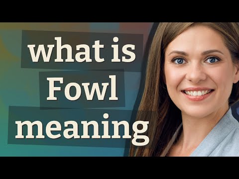 Fowl | meaning of Fowl