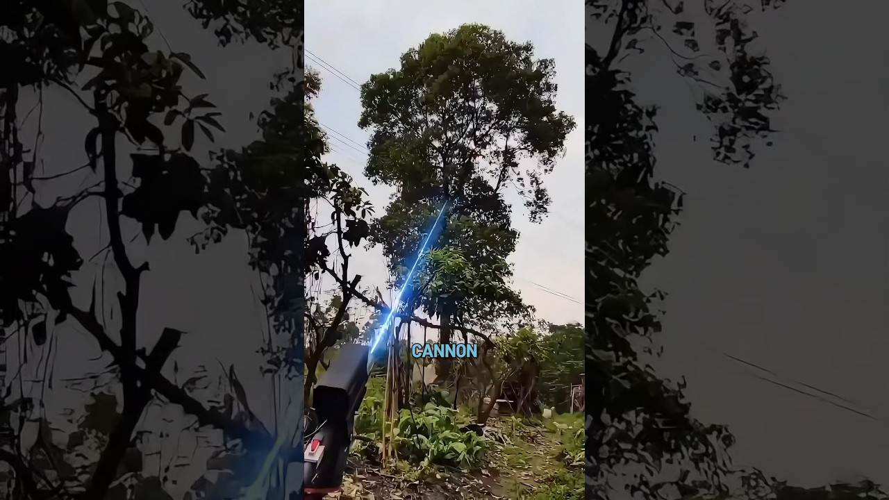 The Best Way To Cut Trees Ever