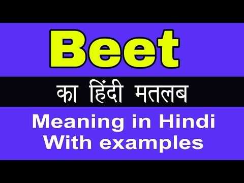 Beet Meaning in Hindi/ Beet ka Matlab kya Hota hai