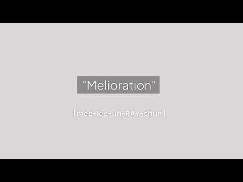 Word of the Day Melioration | Definition & Example Sentence