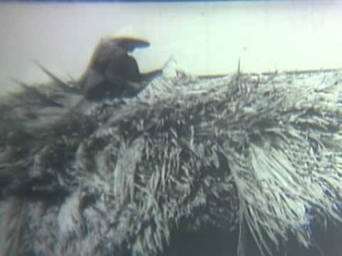 Vietnam War | Map and Timeline