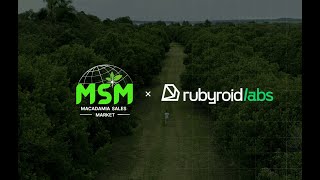 Rubyroid Labs Reviews | View Portfolios | DesignRush