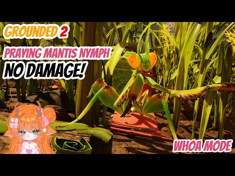 Steam Community :: Video :: Grounded 2 - First fight with the Praying ...