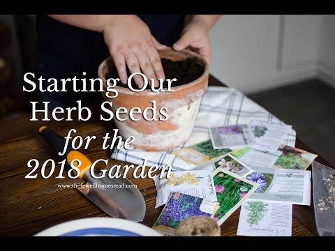 Starting Our Herb Seeds for the 2018 Garden