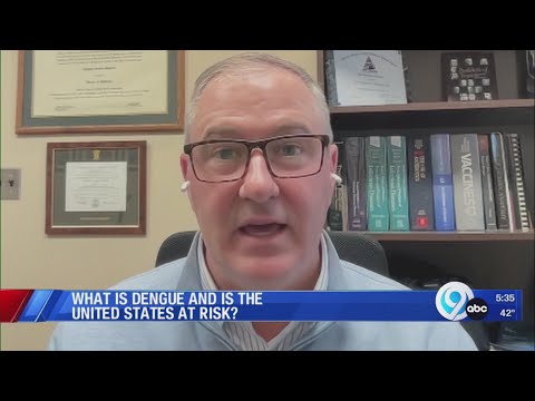 What is Dengue and is the United States at risk?