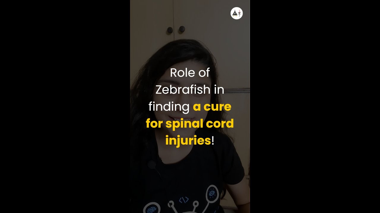 Zebrafish | Spinal Cord Regeneration | Neuroscience | Upside Down Labs