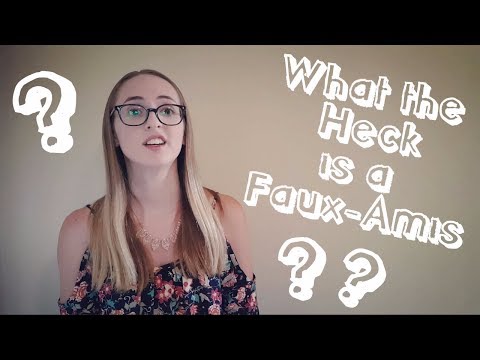 What the heck is a Faux-Amis | Mistakes to avoid in French