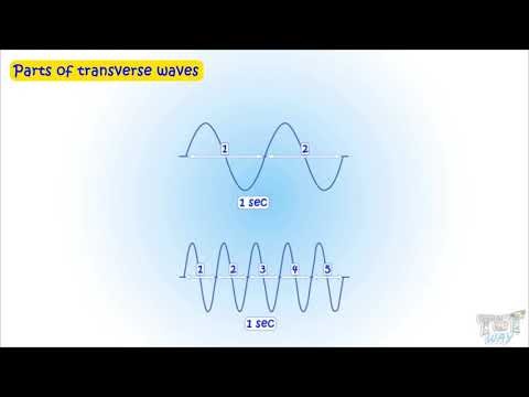 Sound (Part-2)|Transverse and Longitudinal Waves | Science | Grade-4 | Tutway |