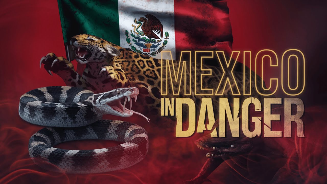The Killers of Mexico: Most Dangerous Animals in Mexico