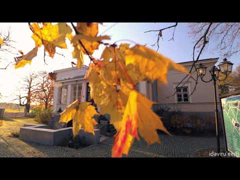 Ontika pankrannik - Balti klindi kõrgeim osa