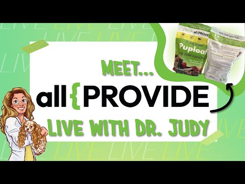 Meet... AllPROVIDE Live With Dr. Judy