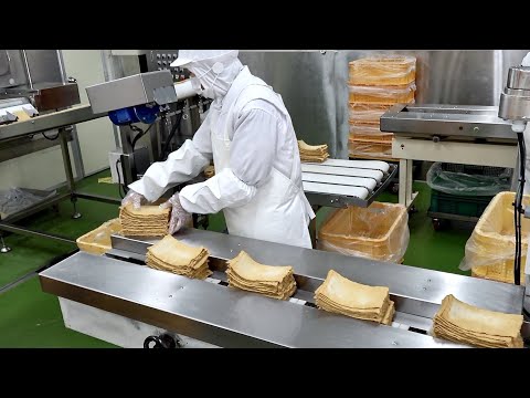 Korean Fish Cake Mass Production Plant That Produces 80 Tons a Day