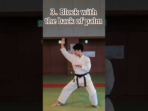 Miyagi-Do Forms Tutorial|Cobra Kai