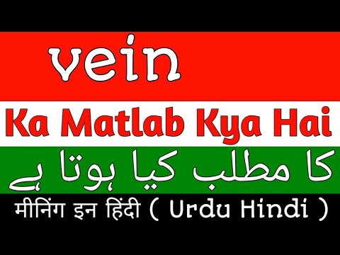 Vein Meaning | Vein Meaning In Urdu Hindi | Vein Ka Matlab Kya Hota Hai | Vein Ka Meaning Kya Hai