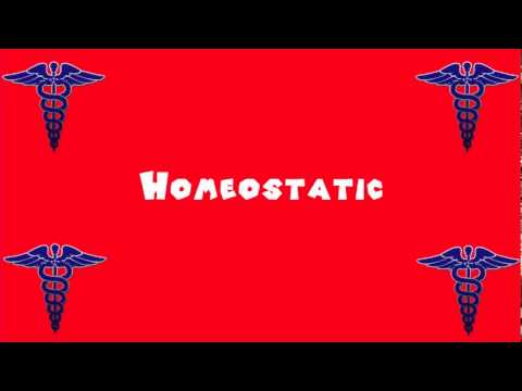 Pronounce Medical Words ― Homeostatic