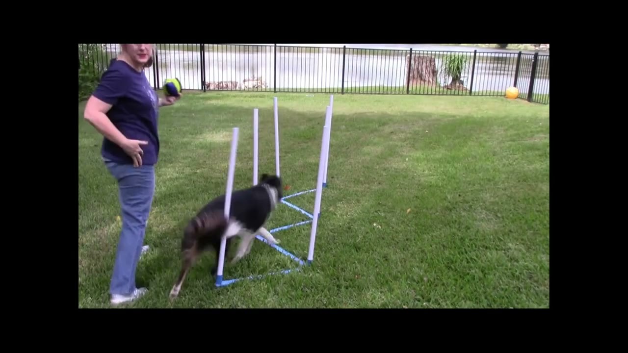 Cool Runners Training Weave Poles Review